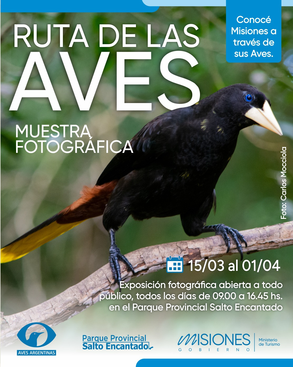 Muestra fotográfica itinerante de aves en Misiones – Canal 4 Posadas